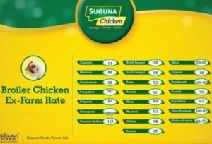 What Is Suguna Chicken Rate Today? - Chicken Rate Today